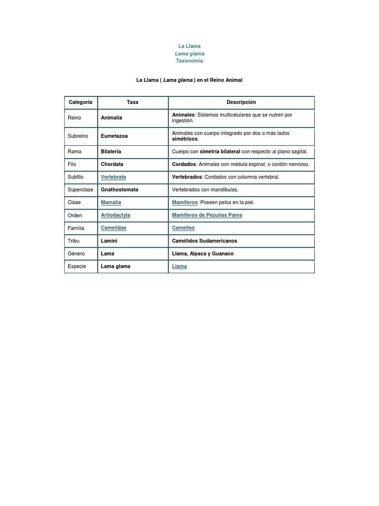 Taxonomia La Llama | PDF