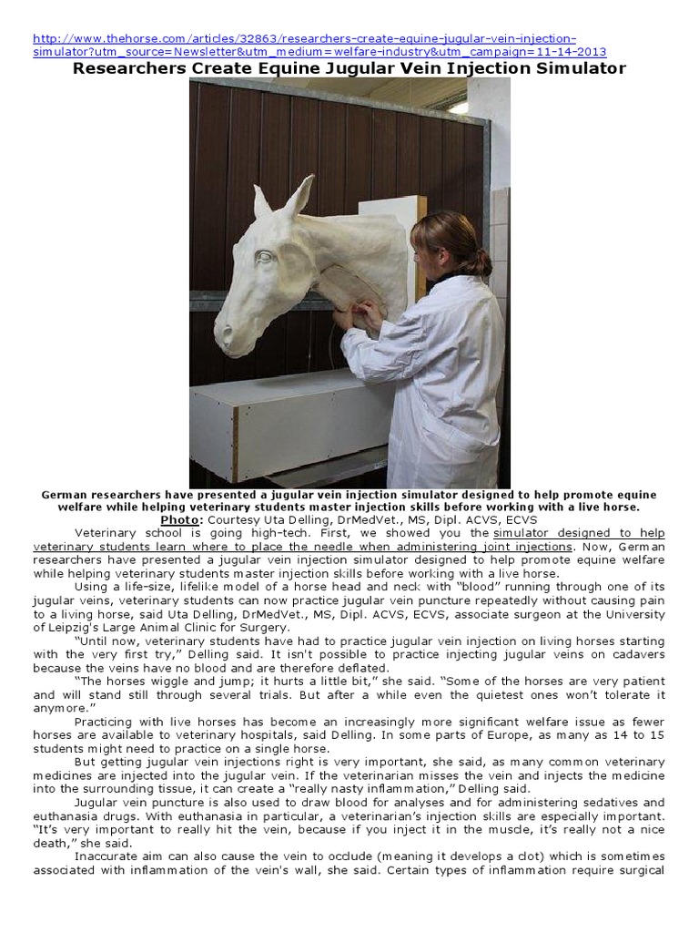 Researchers Create Equine Jugular Vein Injection Simulator | PDF ...