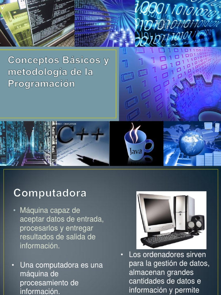 Conceptos Basicos y Metodologia de La Programacion | PDF | Lenguaje de programación | Programa ...