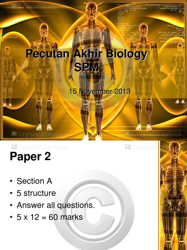 Pecutan Akhir Biology SPM: 15 November 2013 | PDF | Lymphatic System ...