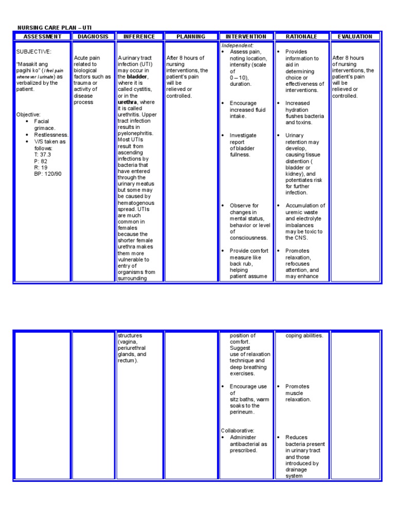 Nursing Care Plan - Uti Assessment Diagnosis Inference Planning ...