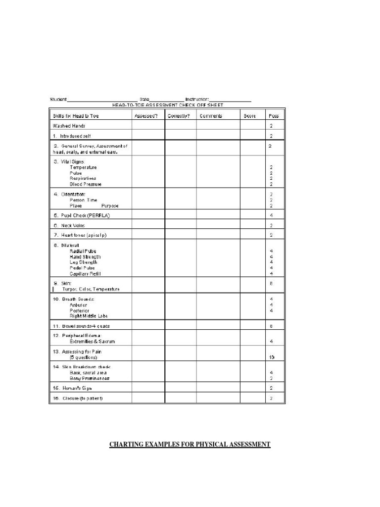 Charting Examples for Physical Assessment | Anatomical Terms Of ...