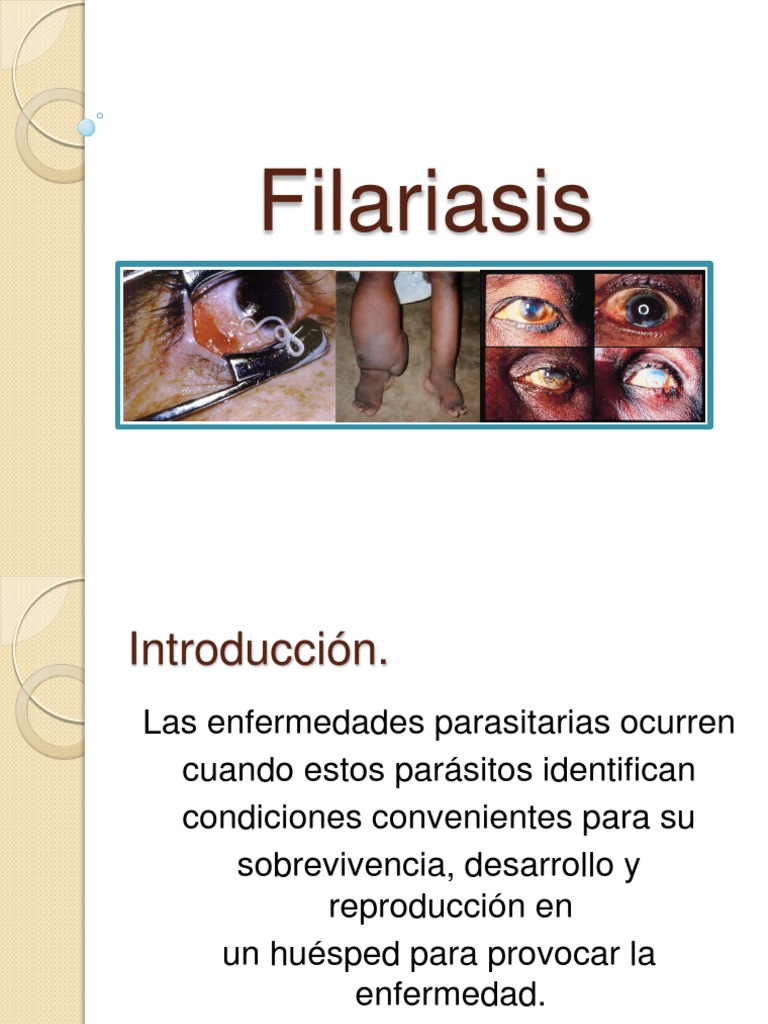 Filariasis - PPT Disertacion | PDF | Enfermedades y trastornos | Medicina CLINICA