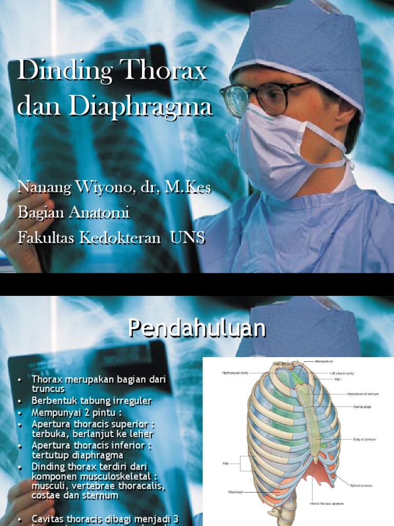 Dinding Thorax Dan Diaphragma | PDF