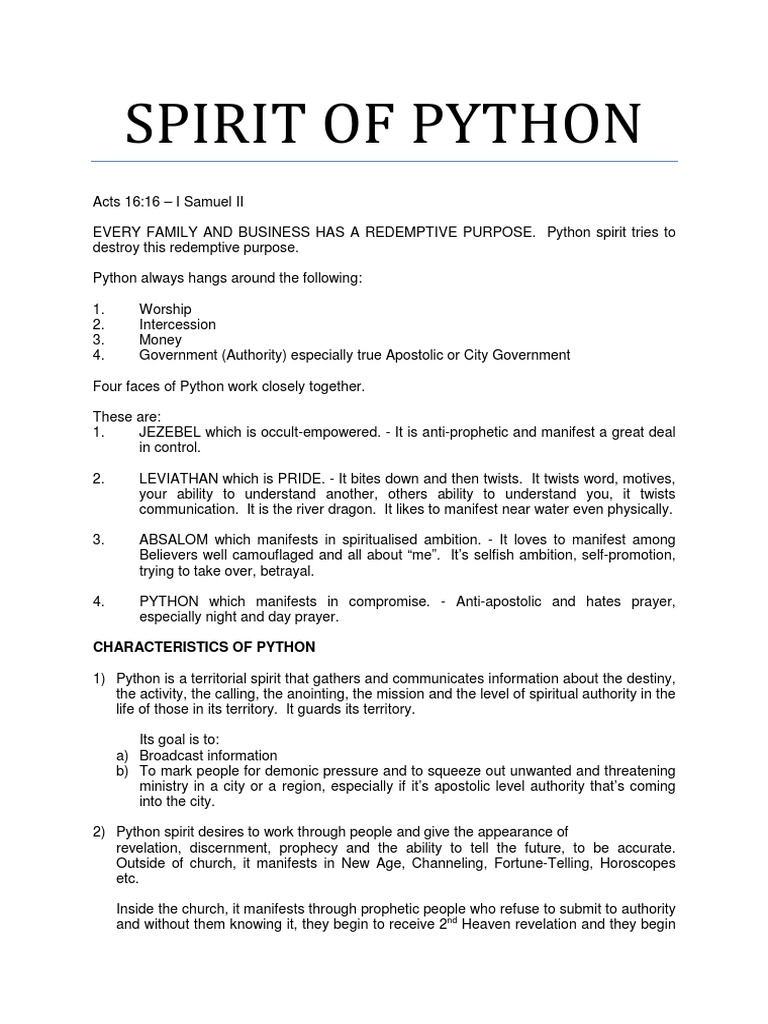 Spirit of Python | PDF