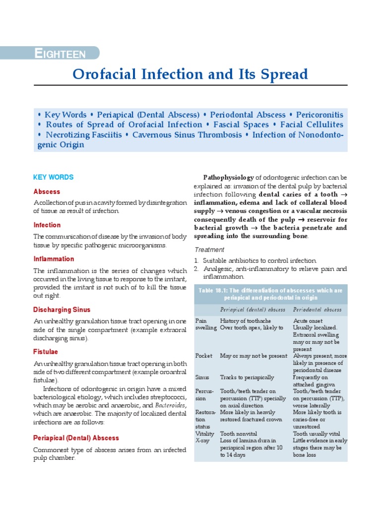 Chapter-18 - Orofacial Infection and Its Spread | PDF | Primate Anatomy ...