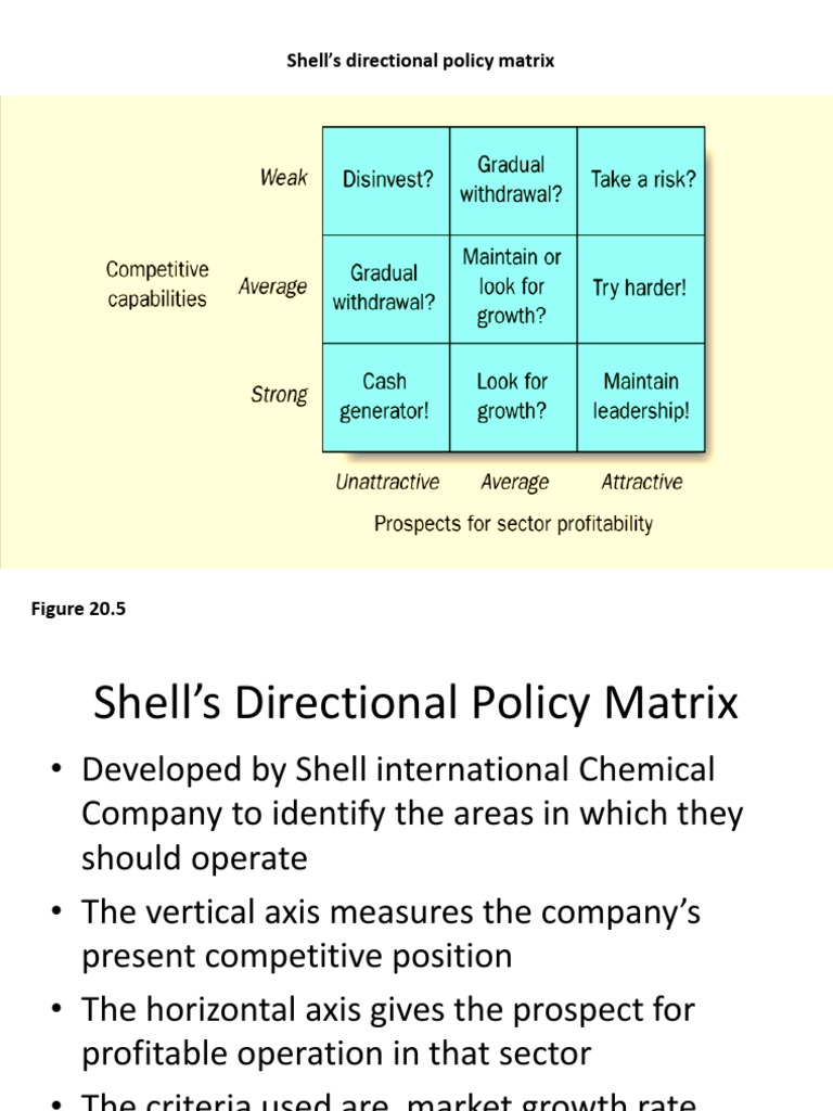 Shell Matrix | PDF | Strategic Management | Economic Growth