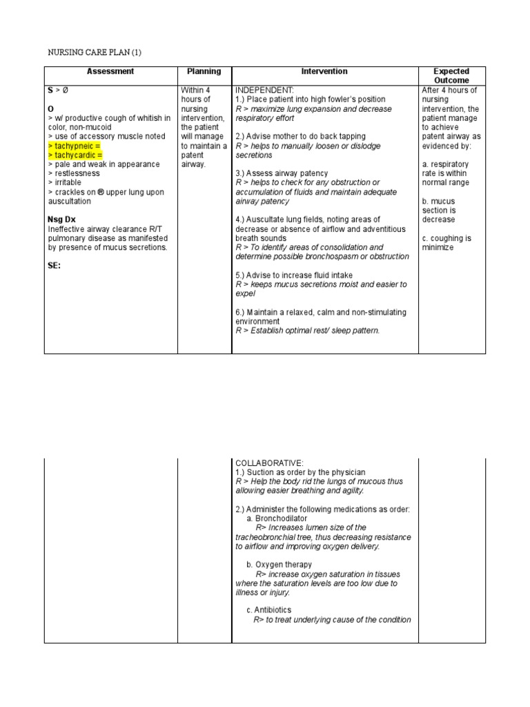 Nursing Care Plan | PDF | Respiratory Tract | Thermoregulation