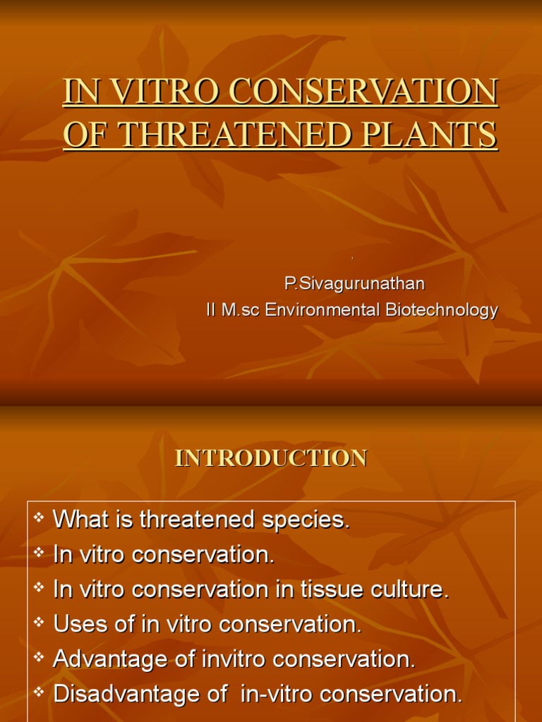 In Vitro Conservation of Threatened Plants | PDF | Horticulture And ...