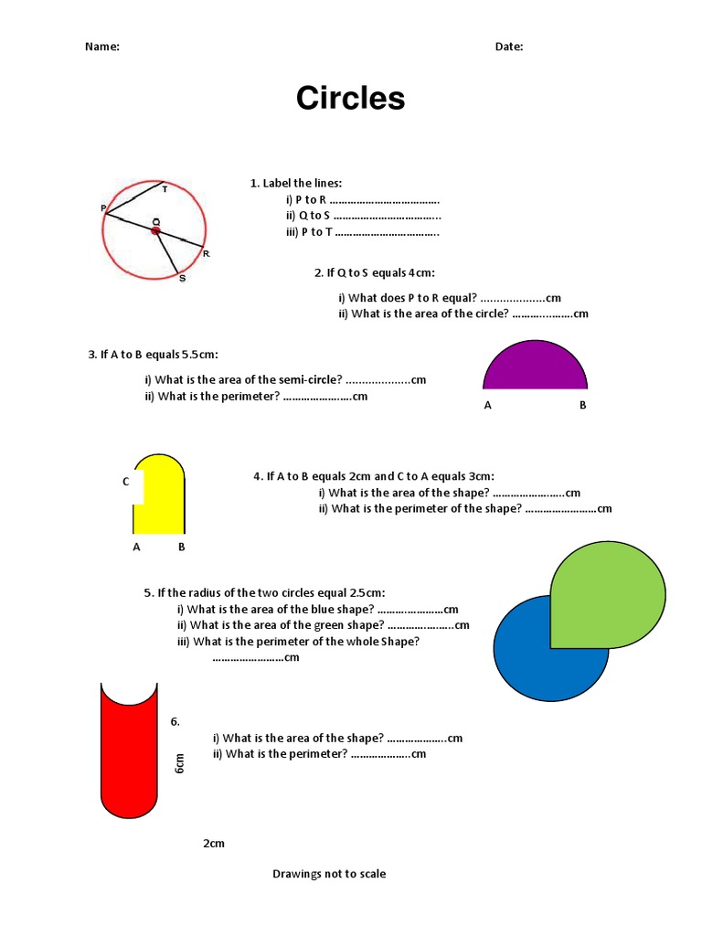 Circles Area and Circumference Worksheet | PDF | Home & Garden
