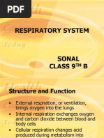 Science Form 3 - Chapter 2 (Respiration) | PDF | Respiratory System | Lung