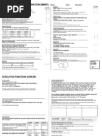 SMMSE Guidelines | PDF | Medical Specialties | Cognition