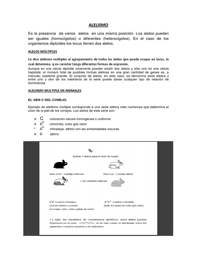 Alelismo, Pleitropia y Alelos Letales, conceptos básicos en genética ...
