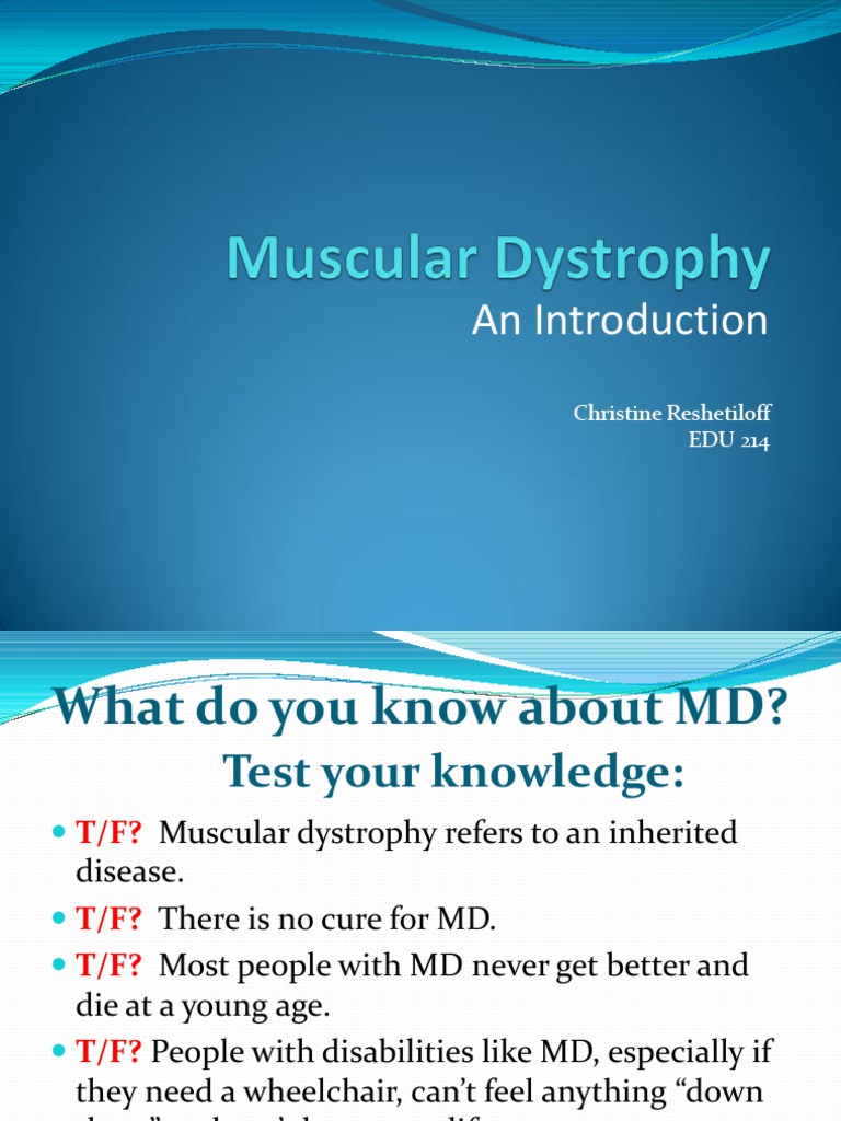 An Introduction: Christine Reshetiloff EDU 214 | PDF | Muscular ...