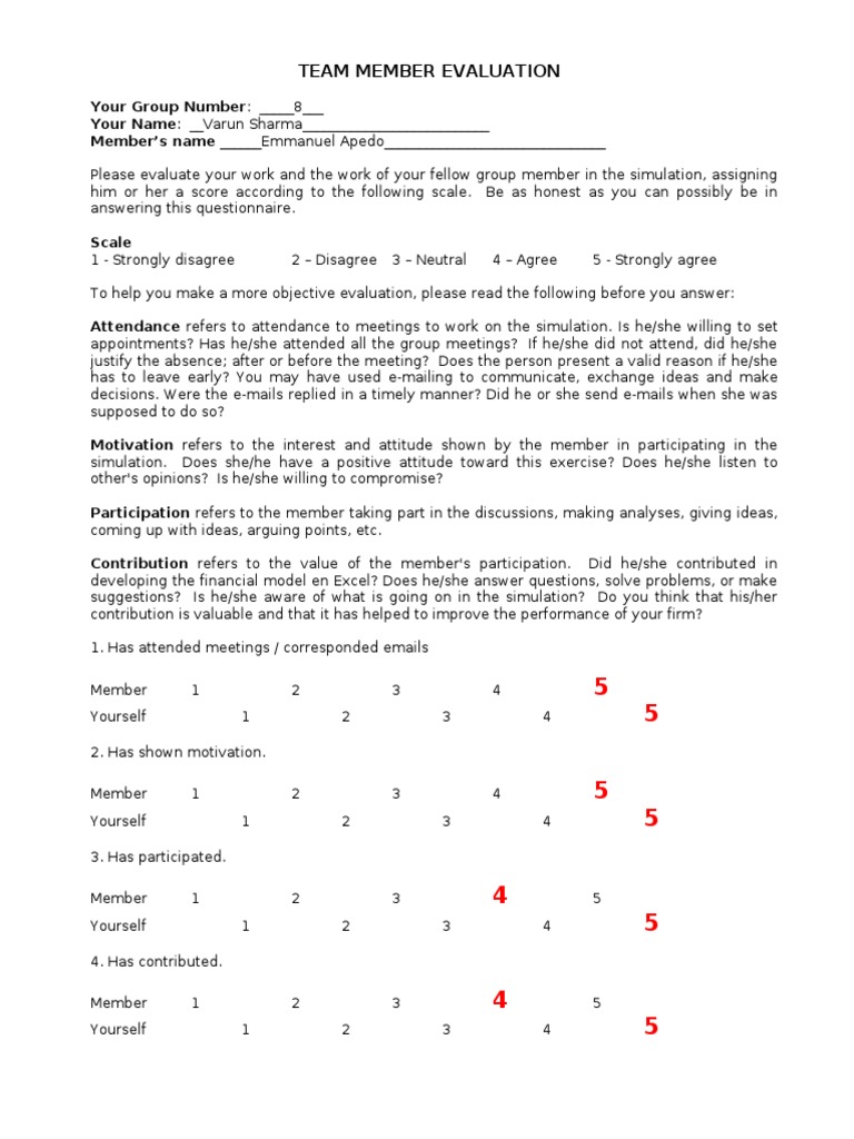 Team Member Evaluation | PDF