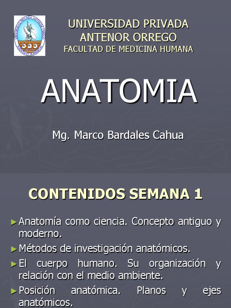 Anatomía Humana: Fundamentos y Evaluación | PDF | Anatomía | Medicina