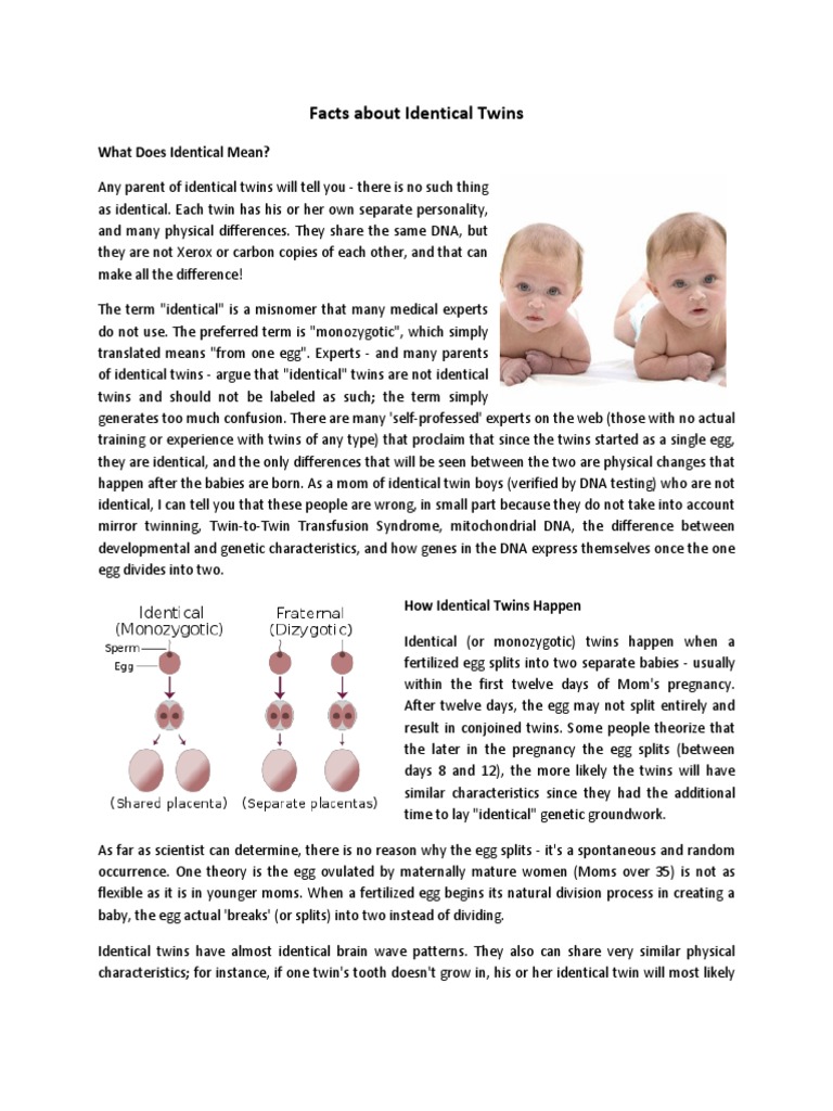 Facts About Identical Twins Pdf Twin Epigenetics
