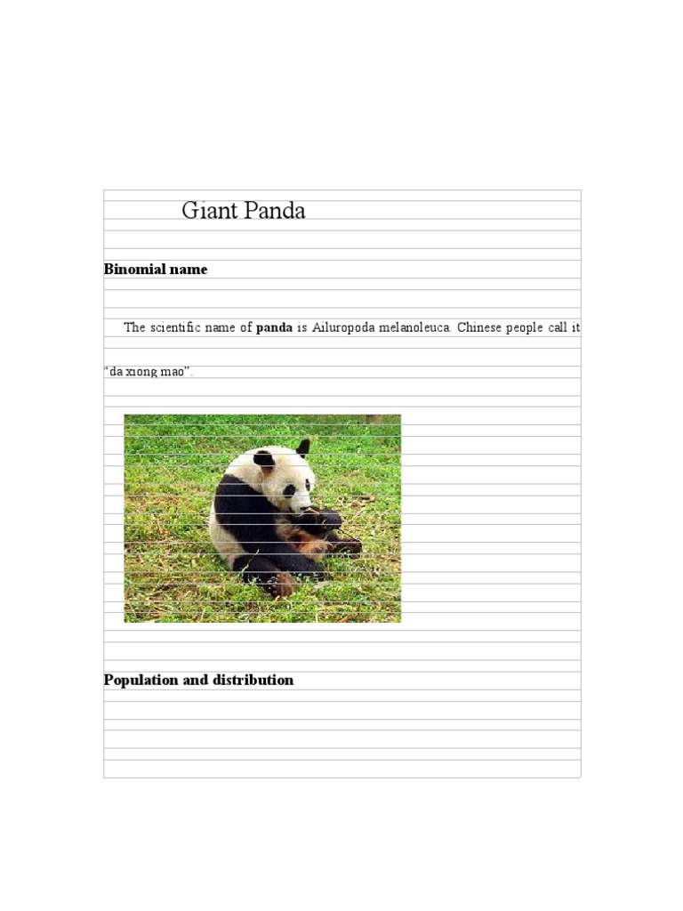 Giant Panda Presentation | PDF | Giant Panda | Organisms