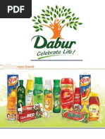 Dabur | PDF | Supply Chain | Ayurveda