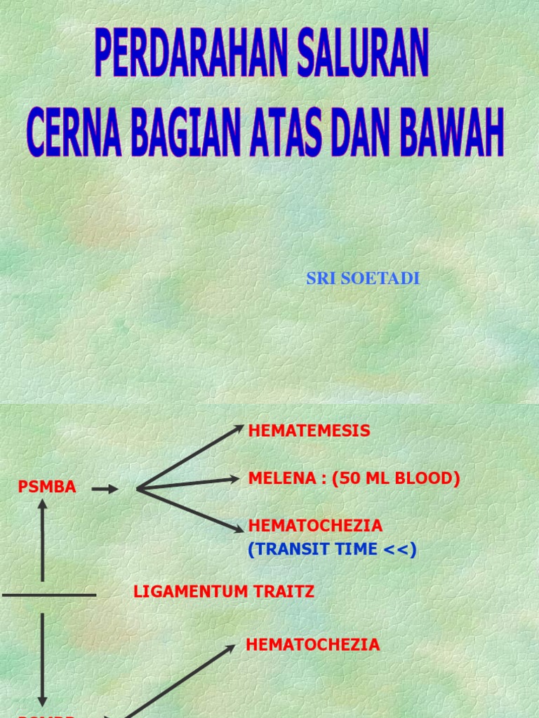 Perdarahan Saluran Cerna Atas Dan Bawah | PDF