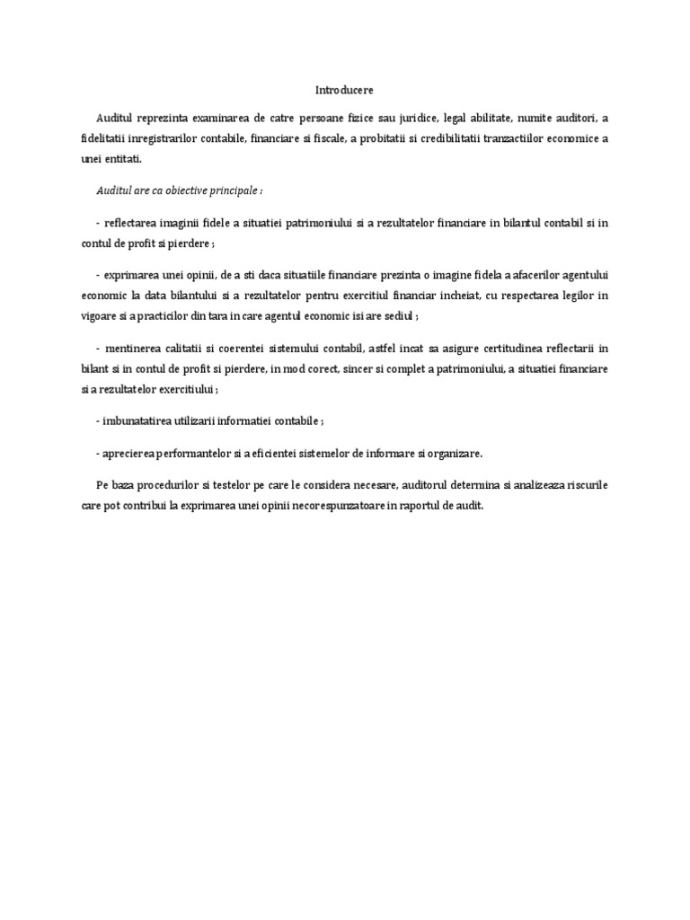 Proiect Audit Financiar | PDF