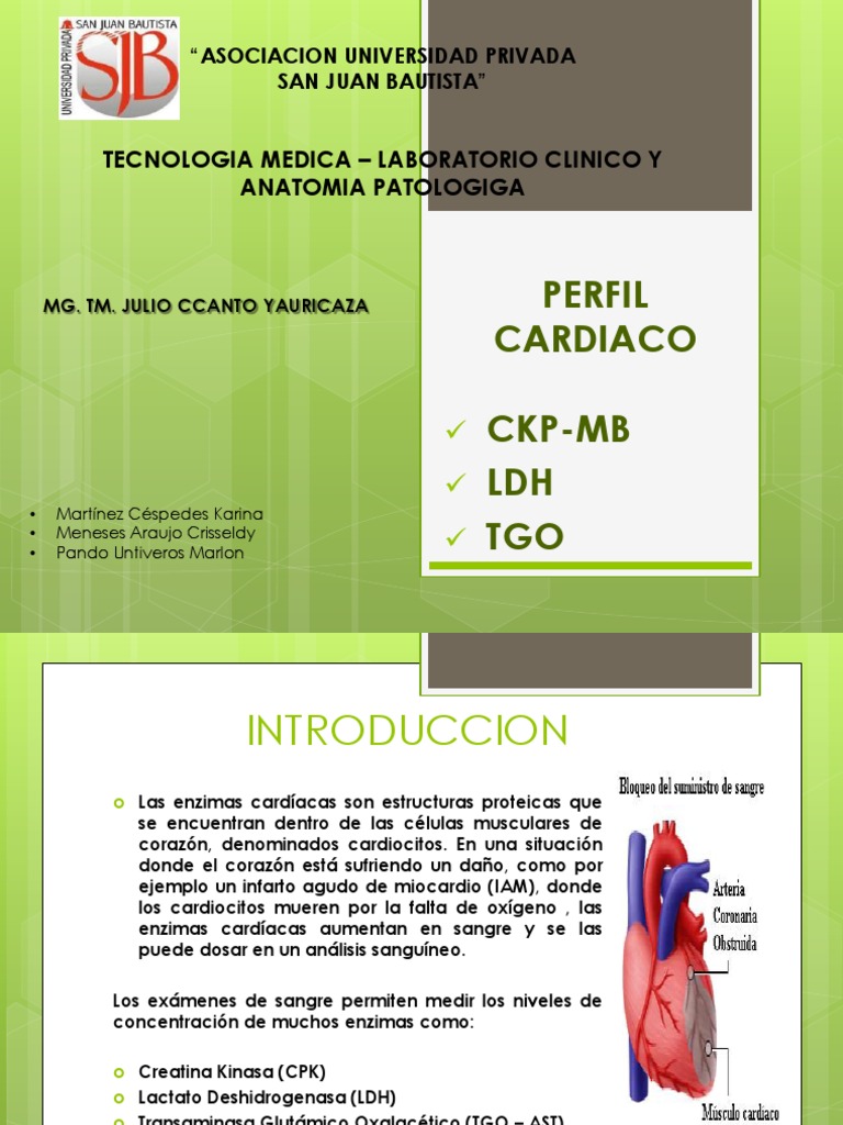 Perfil Cardiaco Diapositivas Grupal | PDF | Lactato deshidrogenasa ...