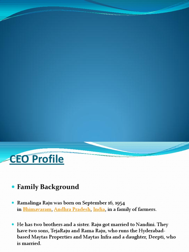 Ceo Profile | PDF | Companies | Business (General)