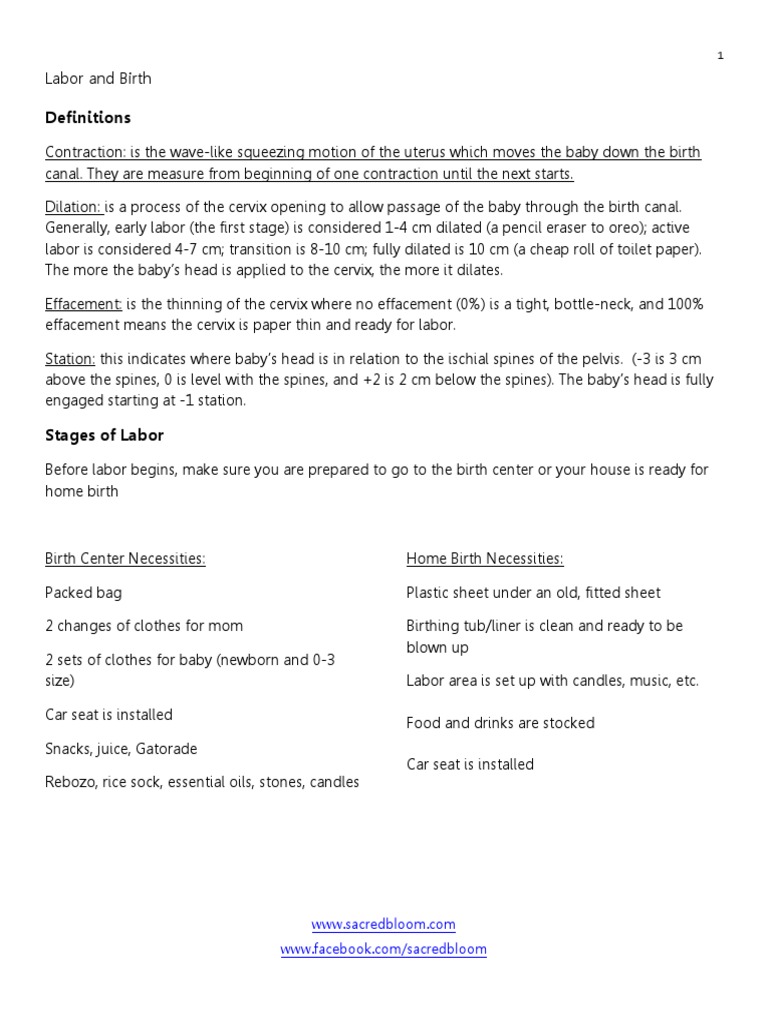 Labor and Birth Handout | PDF | Childbirth | Vagina