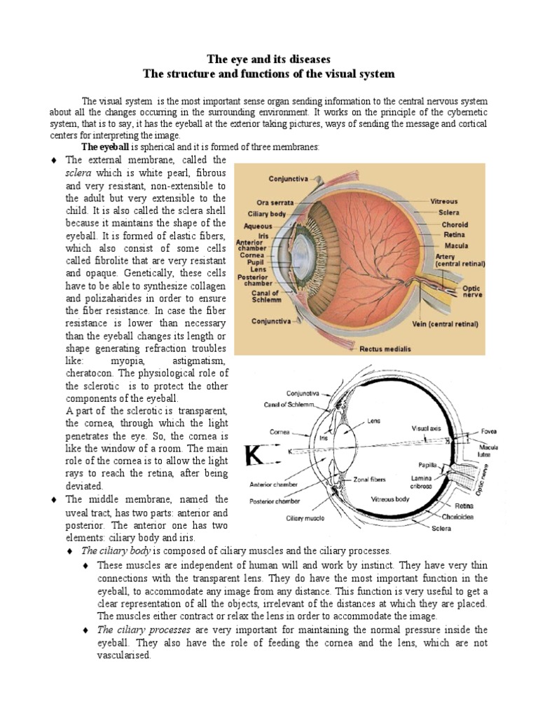The Eye and Its Diseases | PDF | Human Eye | Eye