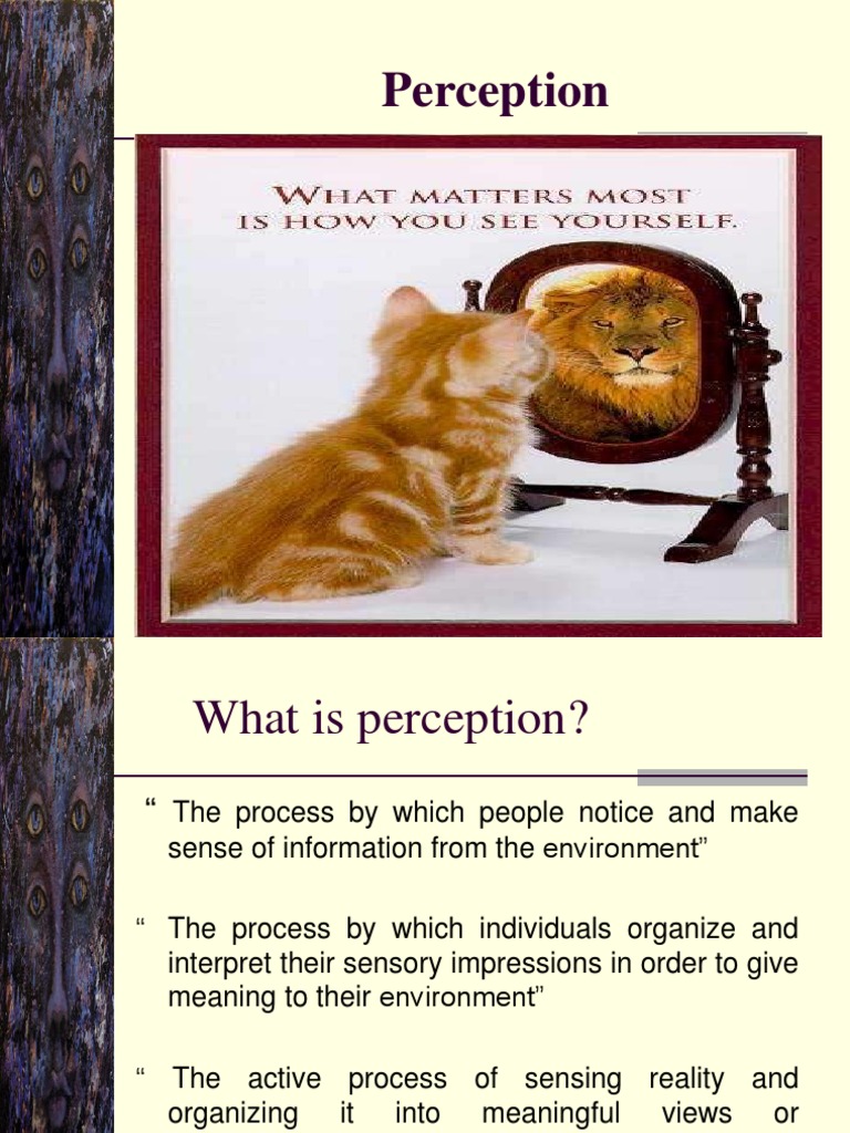 2 - Perception Theory | PDF | Perception | Decision Making