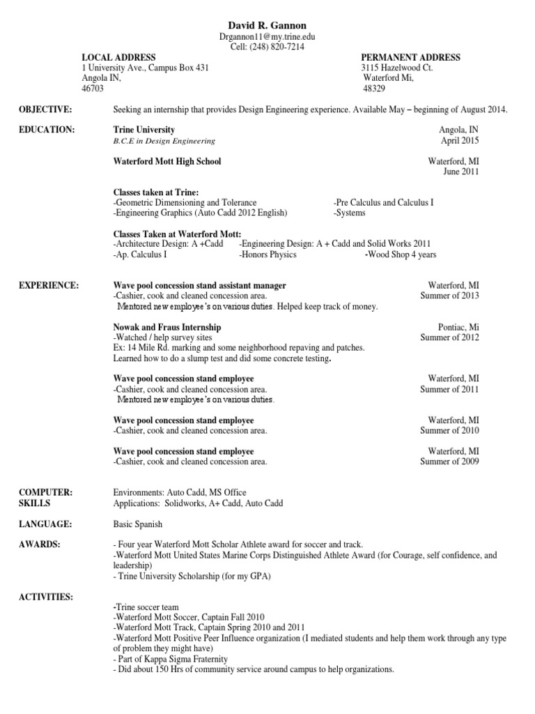 David Resume F | PDF | Art