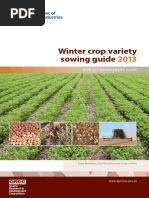 Alugbati (Basella Alba) Fruit Extract As An Alternative Use For Ink ...