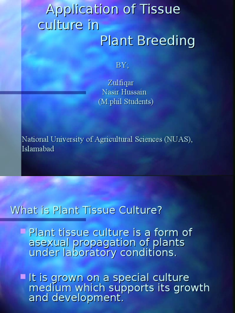 Molecular Plant Breeding & Tissue Culture Techniques | PDF | Plant ...