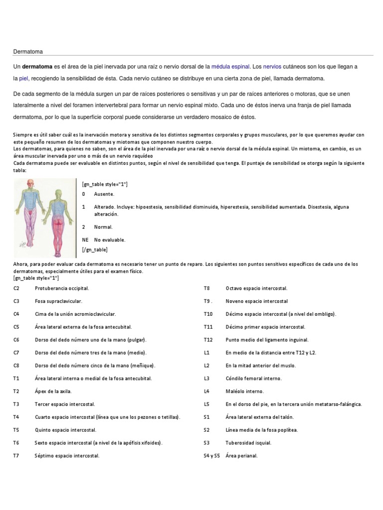 Tabla De Miotomas Y Dermatomas