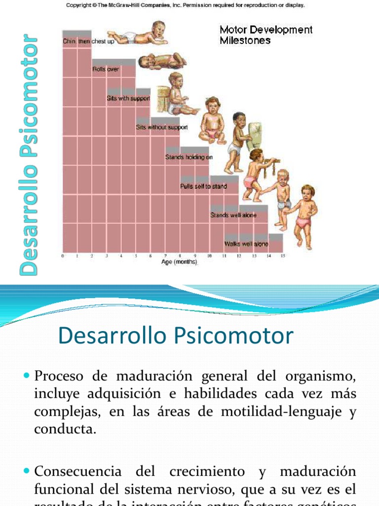 Desarrollo PsicoMotor | PDF | Infantes | Cerebelo