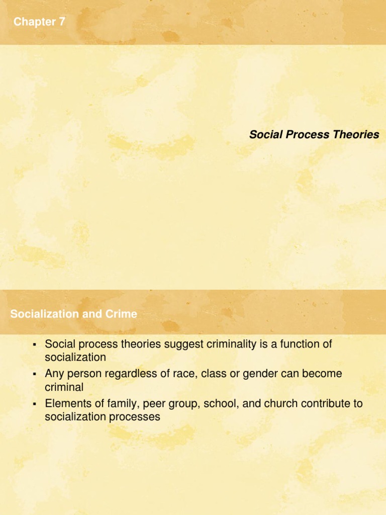 The Socialization Process: An Analysis of Social Process Theories ...