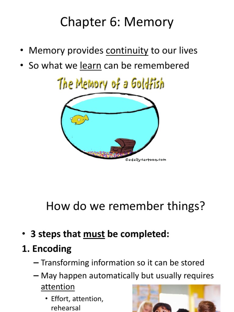 Chapter 6 Slides Part 1 Pdf