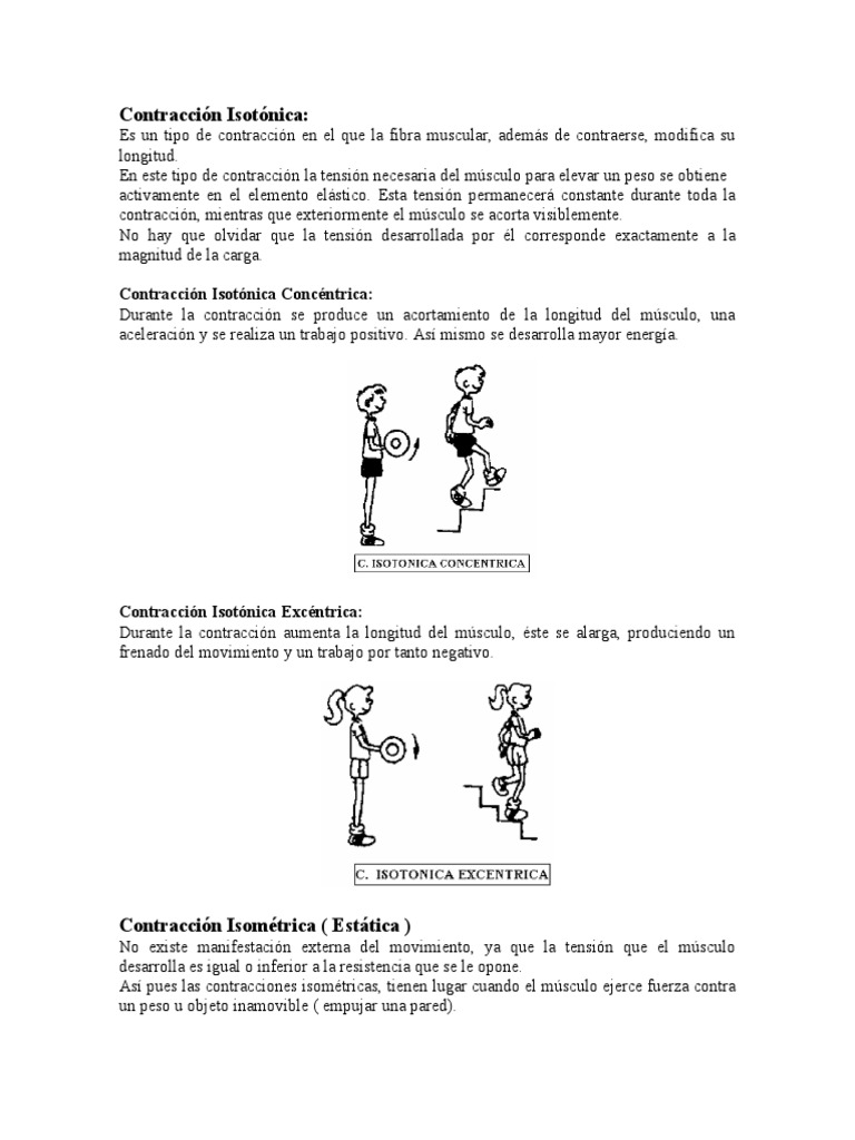 Tipos de Contraccion Muscular | Descargar gratis PDF | Contracción ... Tipos de Contraccion Muscular | Descargar gratis PDF | Contracción ...