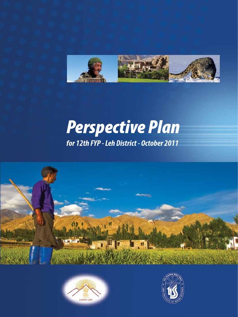 Perspective Plan | PDF | Strategic Management | Governance