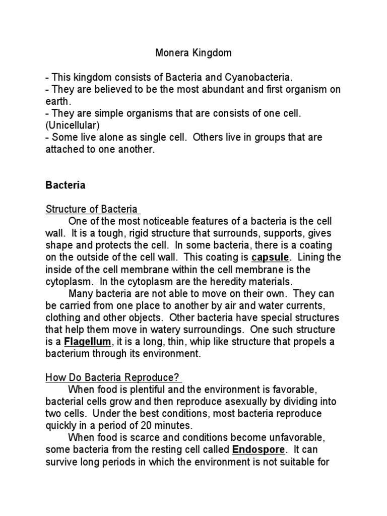 Monera Kingdom | PDF | Bacteria | Cell (Biology)