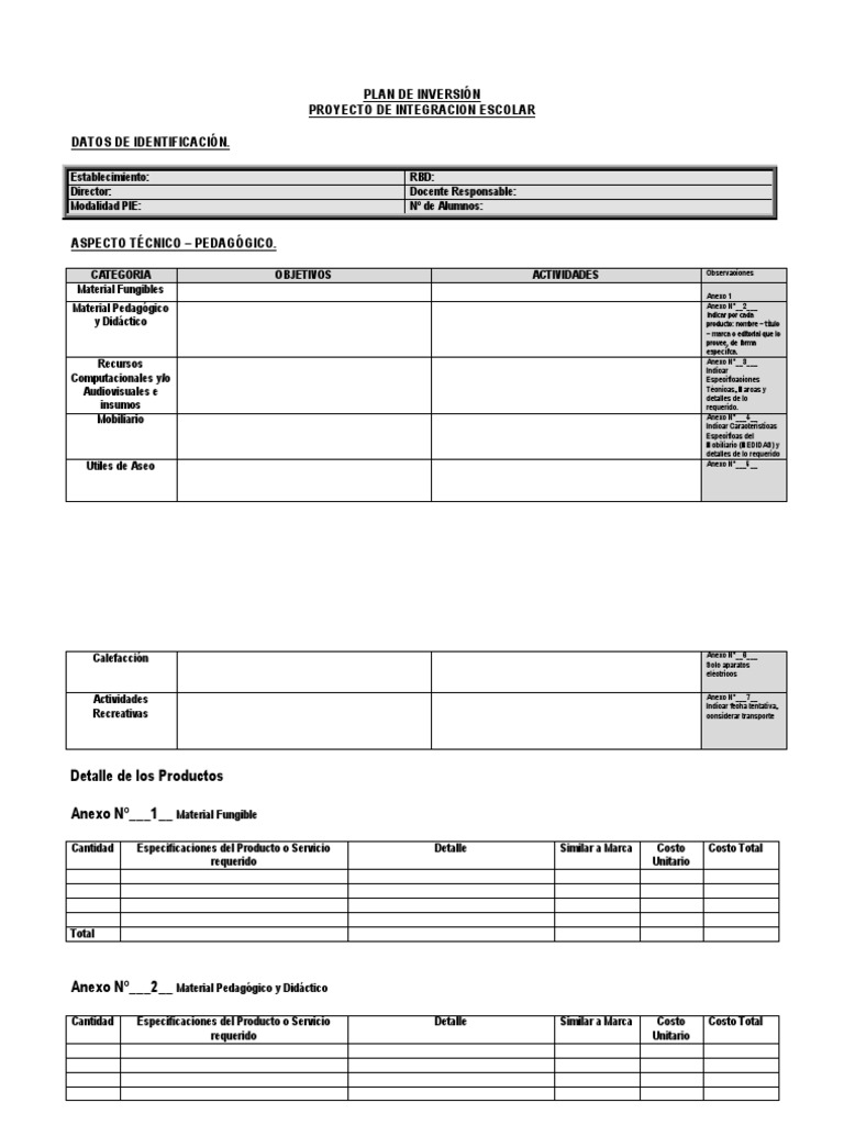 Formato Plan de Inversión | PDF