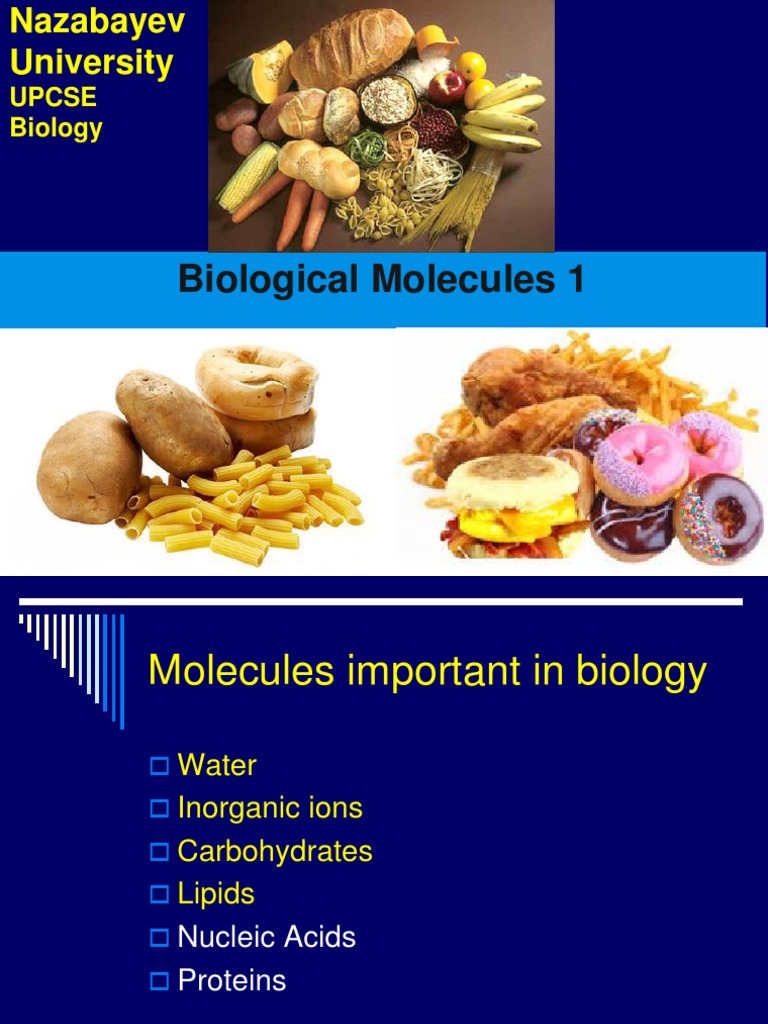 Biological Molecules 1 | PDF | Properties Of Water | Fat