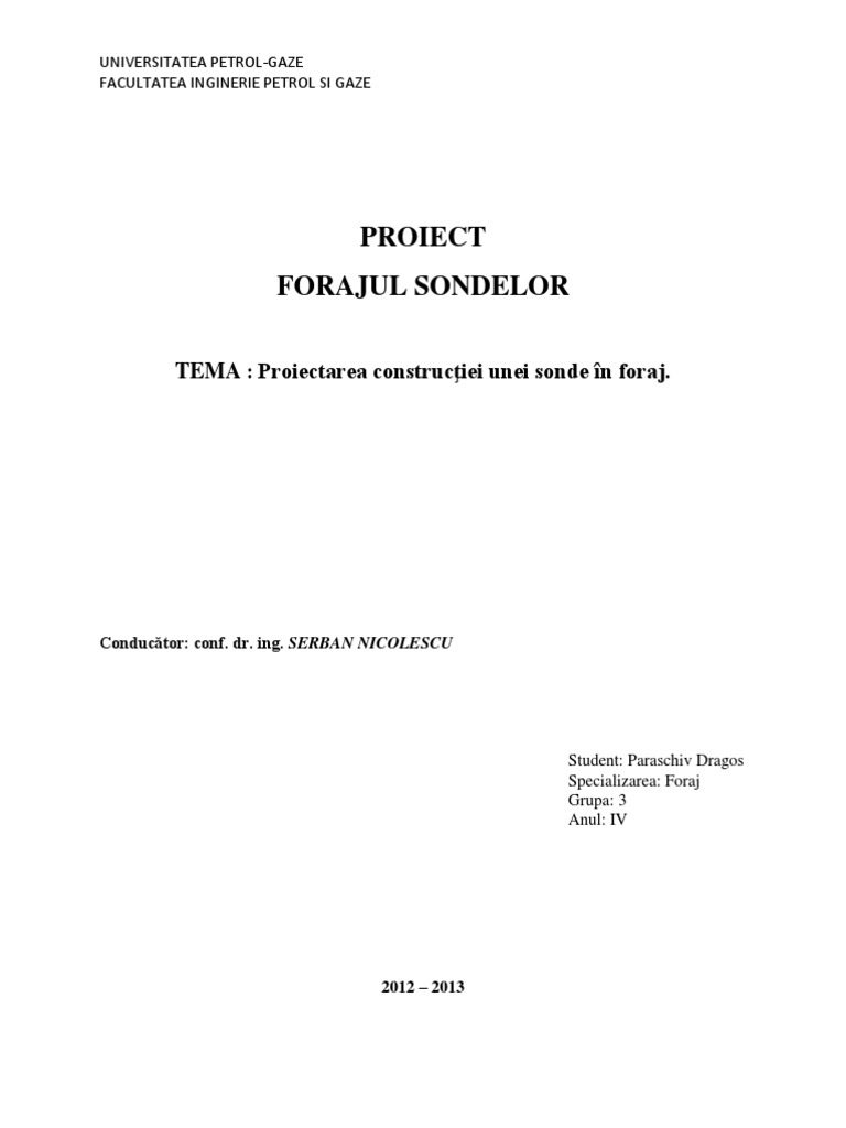 Proiect Foraj EXEMPLU | PDF