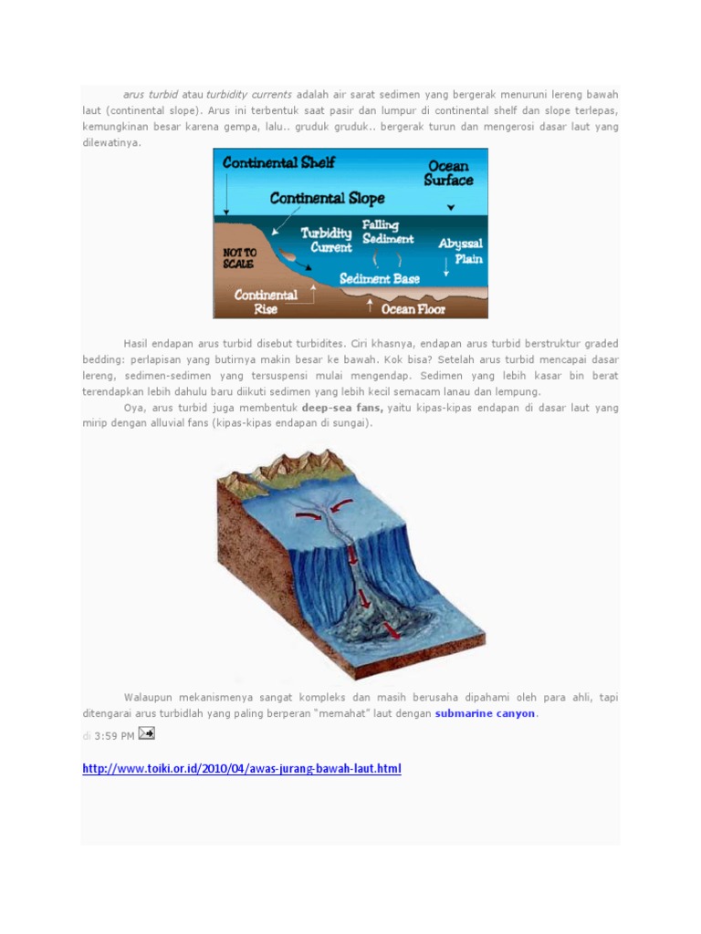 Aru Turbid | PDF | Sains & Matematika