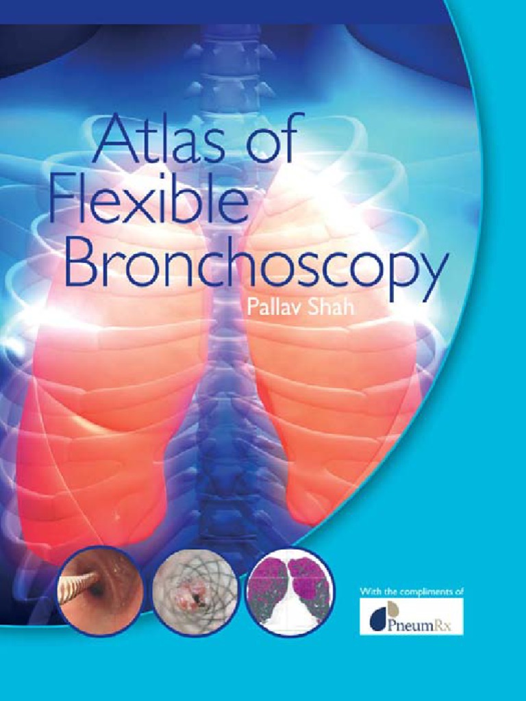 Bronchial Tree Anatomy Bronchoscopy