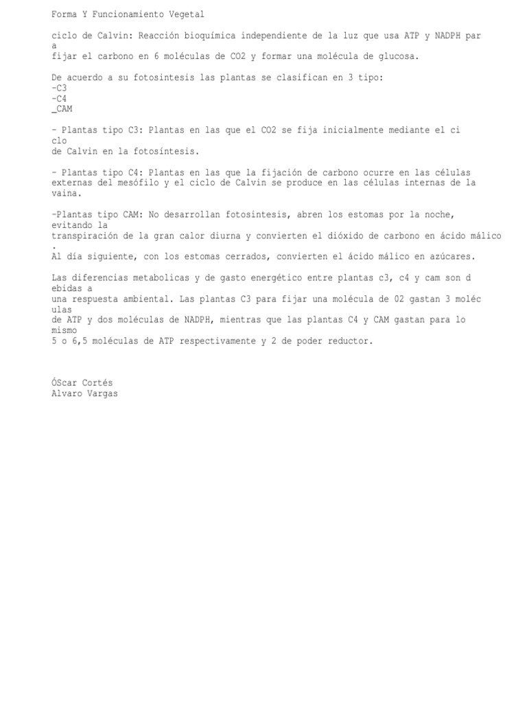 Tarea Tipos de Plantas C3, C4, CAM | PDF