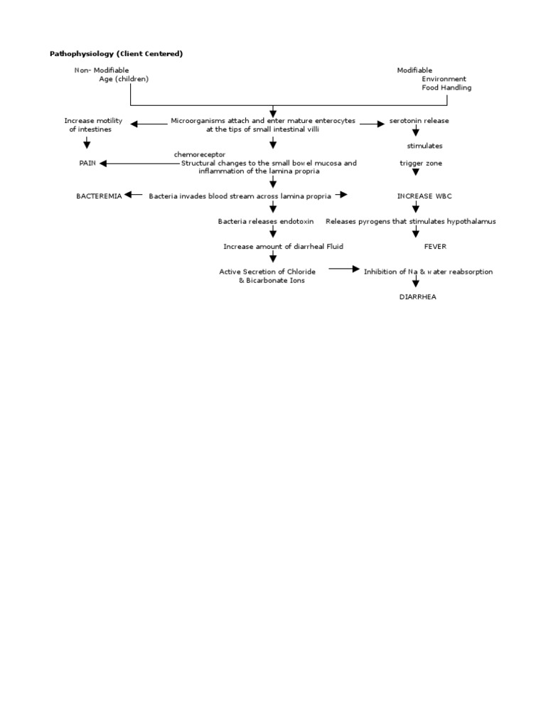 AGE Pathophysiology | PDF