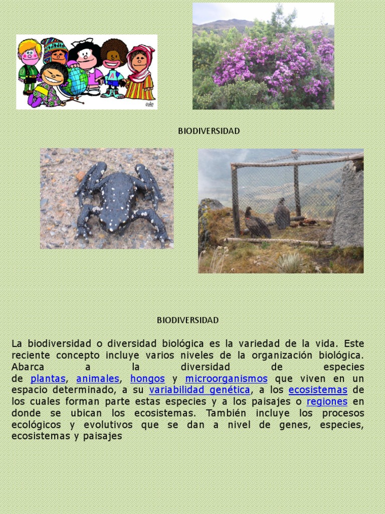 Ecosistemas Estrategias de Conservacion | Biodiversidad | Ecosistema