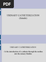 Catheterization Checklist | PDF | Catheter | Urology