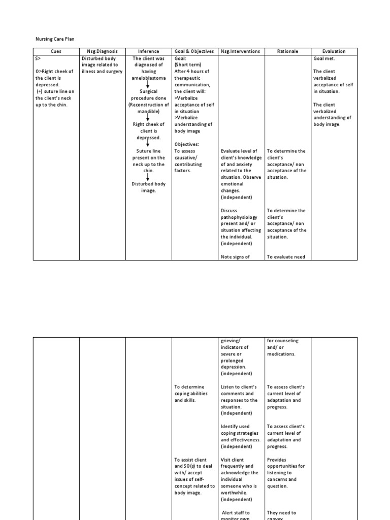 NCP - Disturbed Body Image | PDF